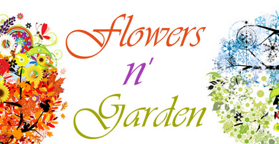 Flowers n' Garden - Sending Flowers, Ordering a flower, Flower ...